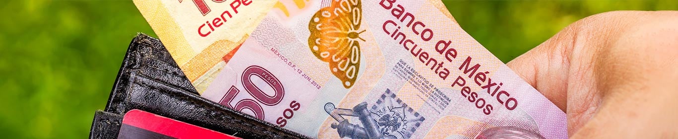 ¿Qué es la caja de ahorro IMSS y cómo funciona?